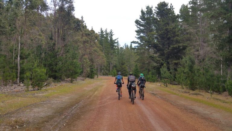 Cycling the 1000km Munda Biddi Trail In Australia - CYCLINGABOUT.com