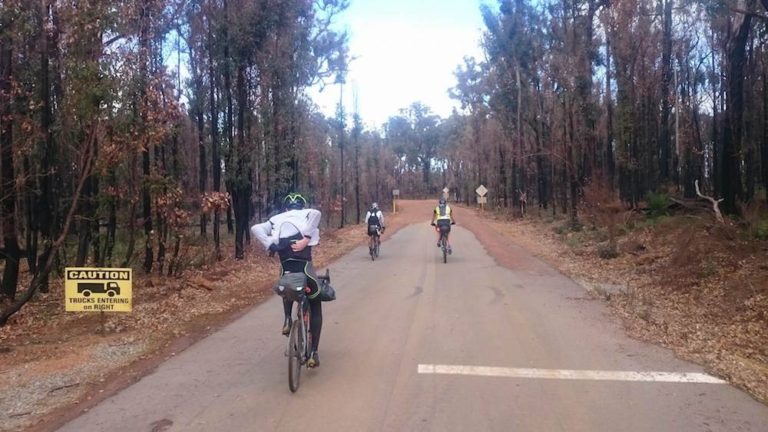 Cycling the 1000km Munda Biddi Trail In Australia - CYCLINGABOUT.com