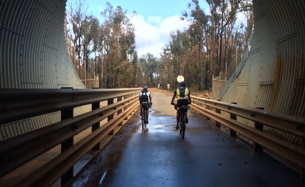 Cycling the 1000km Munda Biddi Trail In Australia - CYCLINGABOUT.com