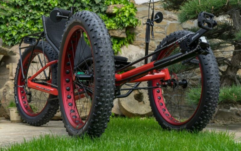 14 Insane Pinion Fat Bike Builds For Your Desert or Snow Adventures ...