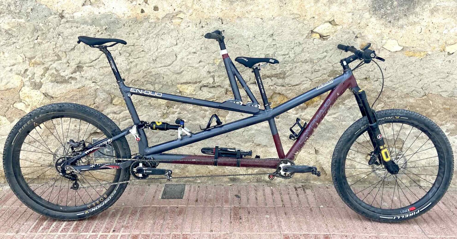 Why This Weird Pinion Gearbox Bike Has Three Belts (Pinion Tandem ...